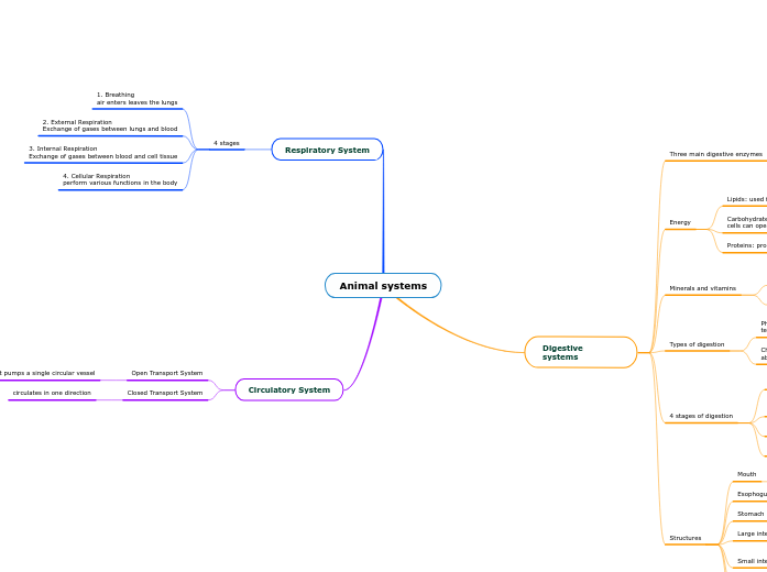 Animal systems - Mind Map